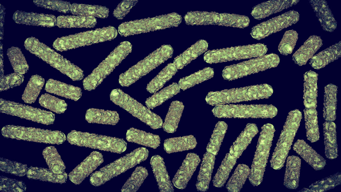 Scientists identify compound that works against antimicrobial-resistant ...
