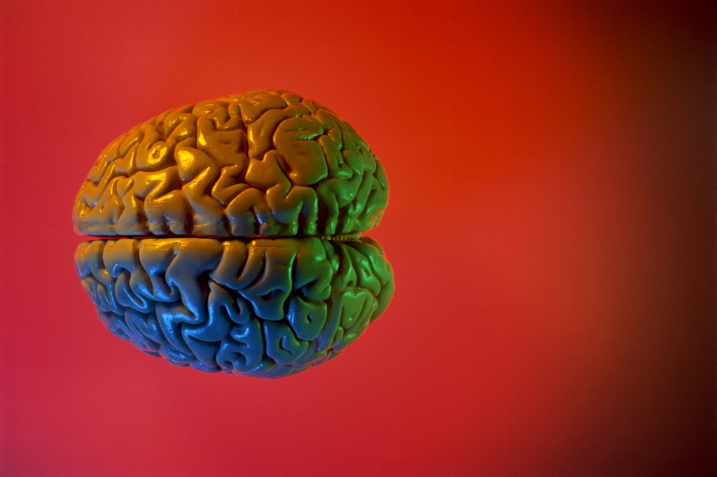 The brain of a lifelong bully looks different than the general ...